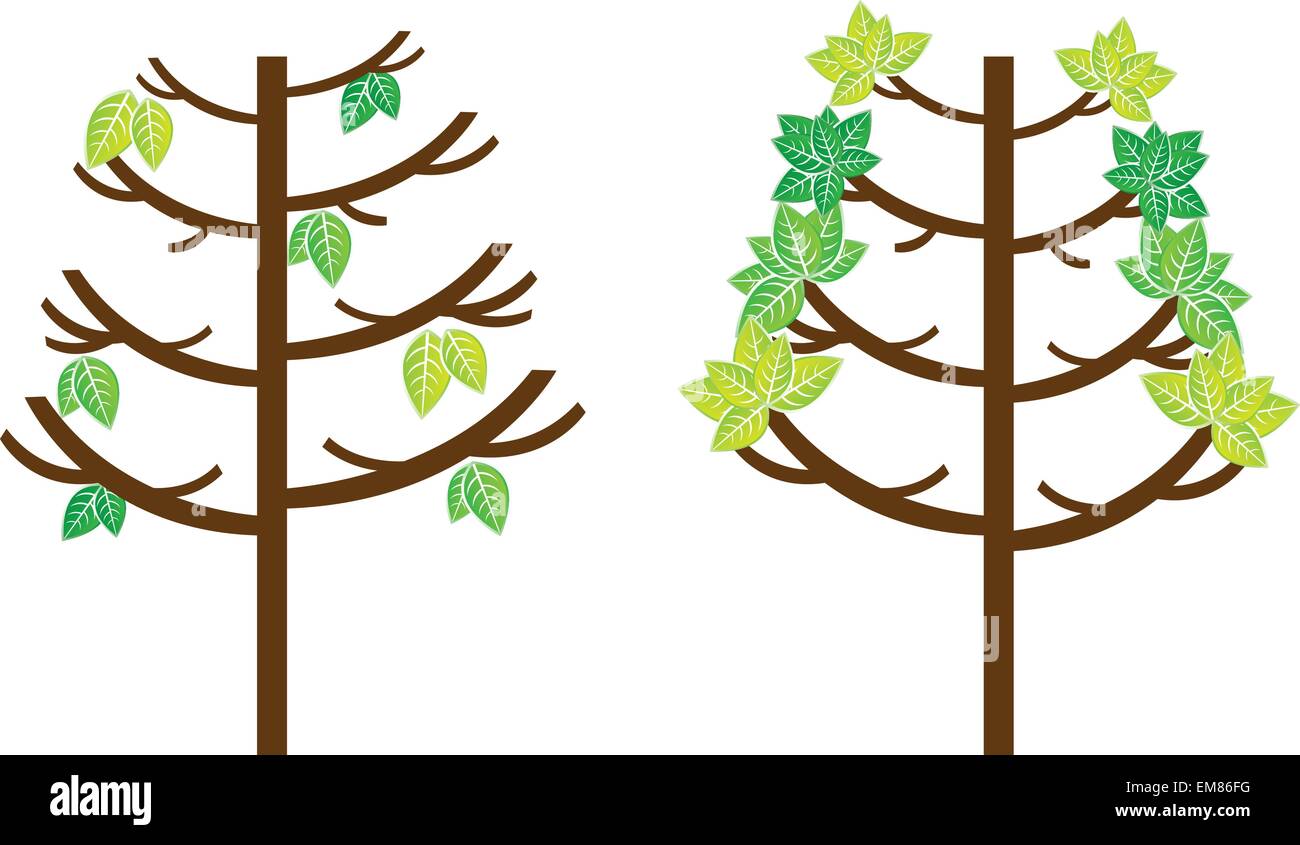 Maple trees and two Stock Vector Images - Alamy