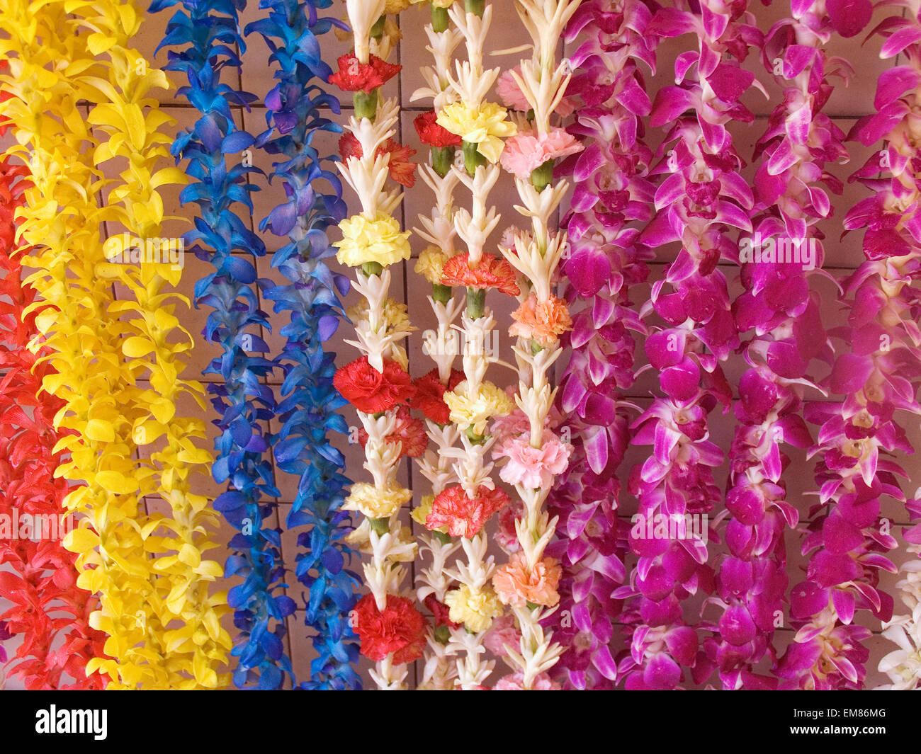 Assorted Hawaiian Leis, Hanging In Bright, Colorful Strands, Studio ...