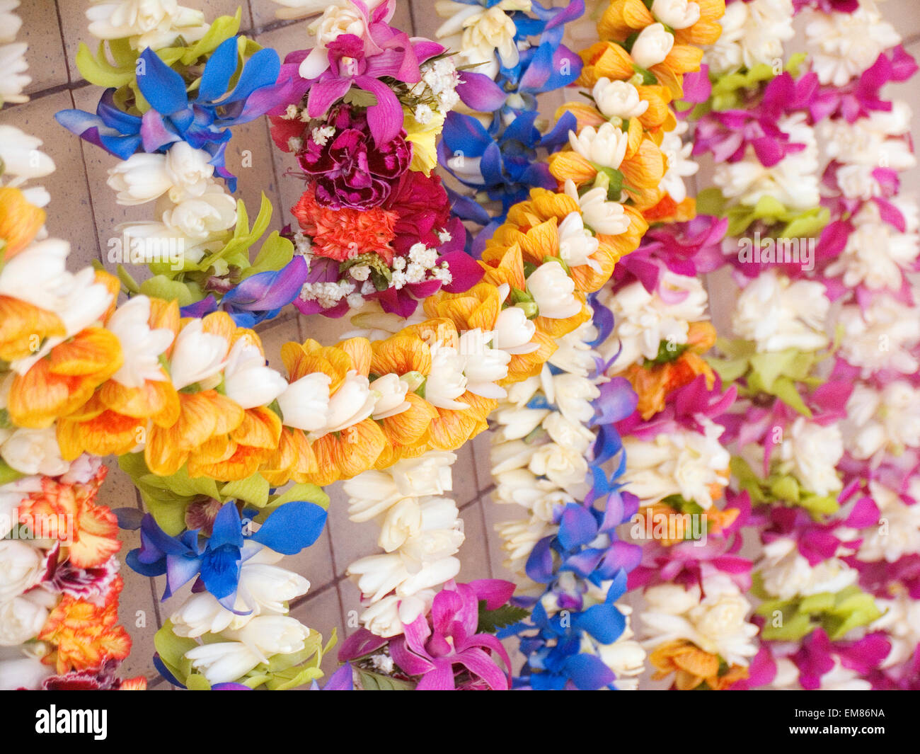Assorted Hawaiian Leis, Hanging In Bright, Colorful Strands, Studio ...