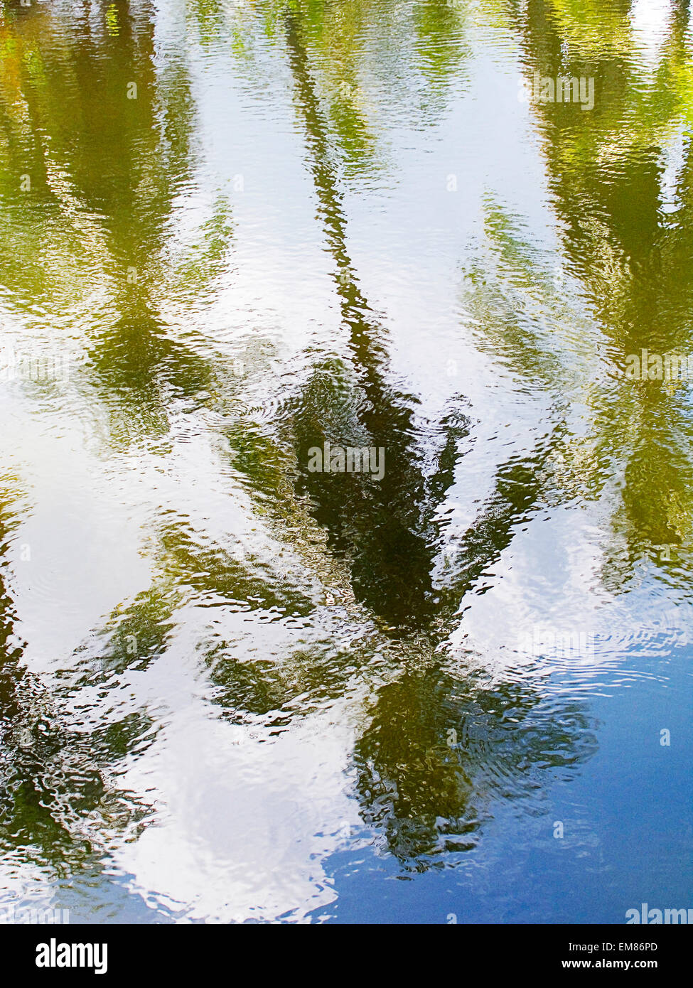 Hawaii, Maui, Reflection Of Palm Trees Water Stock Photo - Alamy