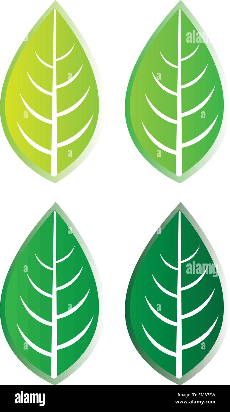Branch green leaves small Stock Vector Images - Alamy