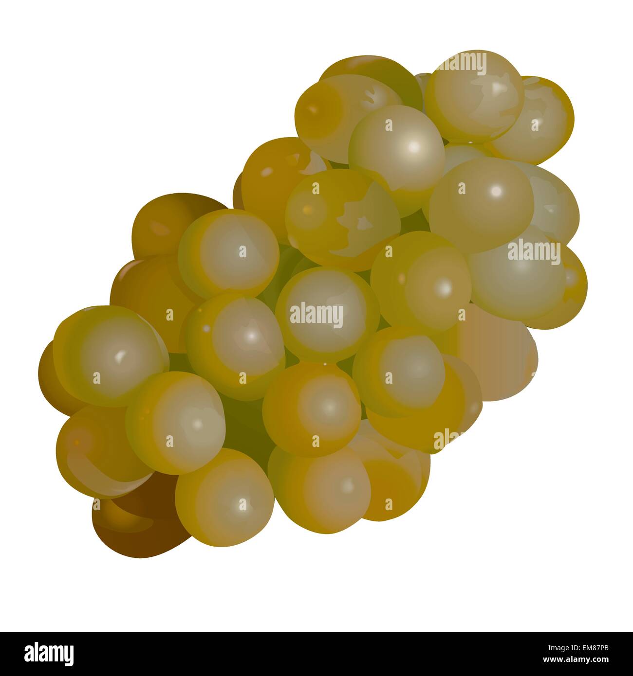 Grape vine cut out Stock Vector Images - Alamy