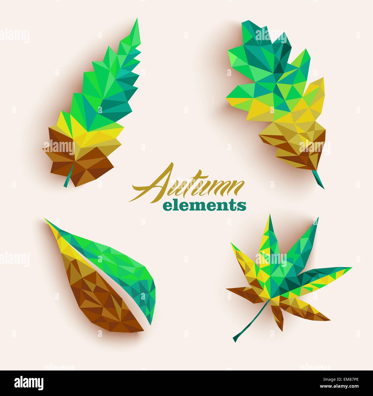 Triangle leaf hi-res stock photography and images - Alamy