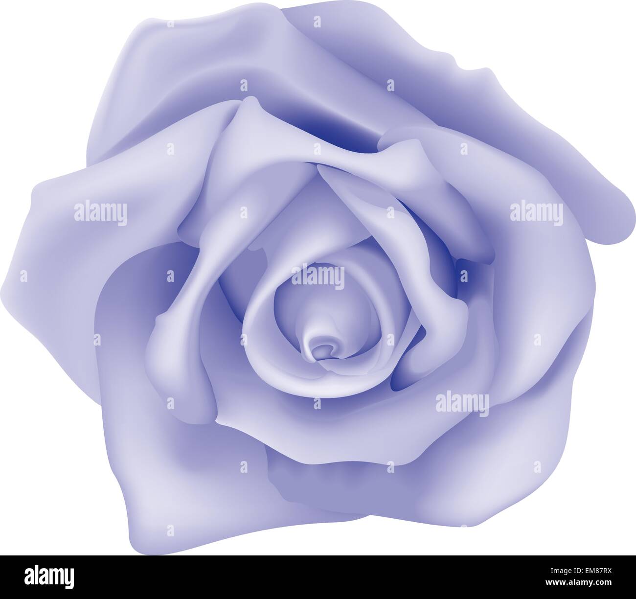 Cut rose cut out Stock Vector Images - Alamy