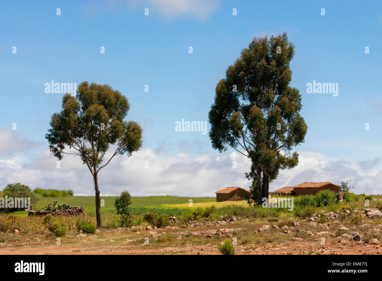 Jatun yampara indigenous community hi-res stock photography and images ...