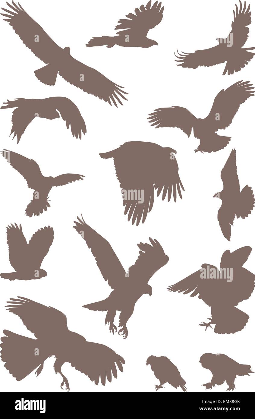 Predator Stock Vector Images - Alamy