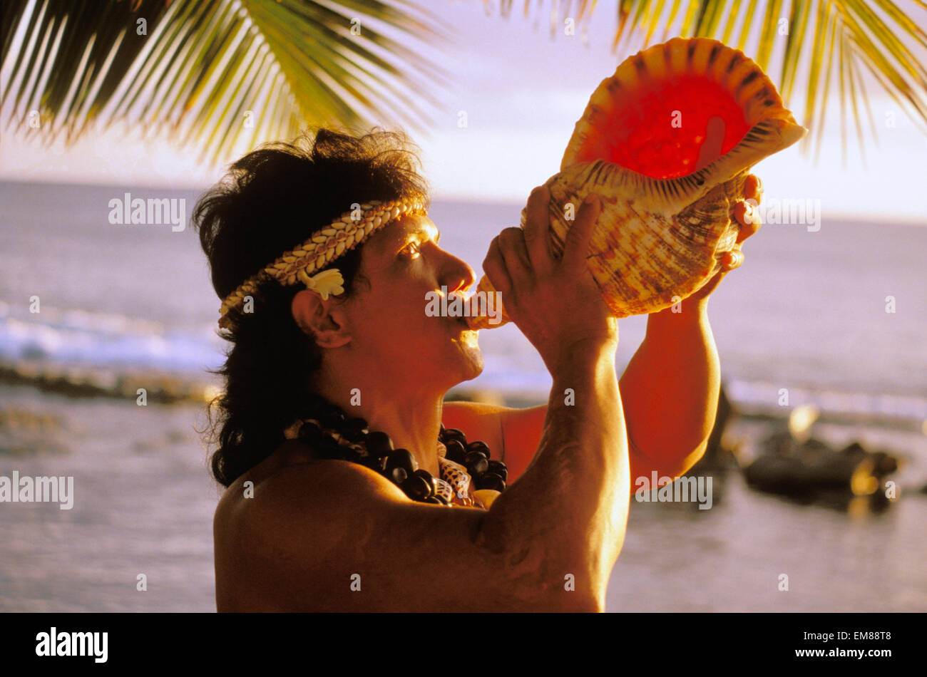 Polynesian conch shell hi-res stock photography and images - Alamy