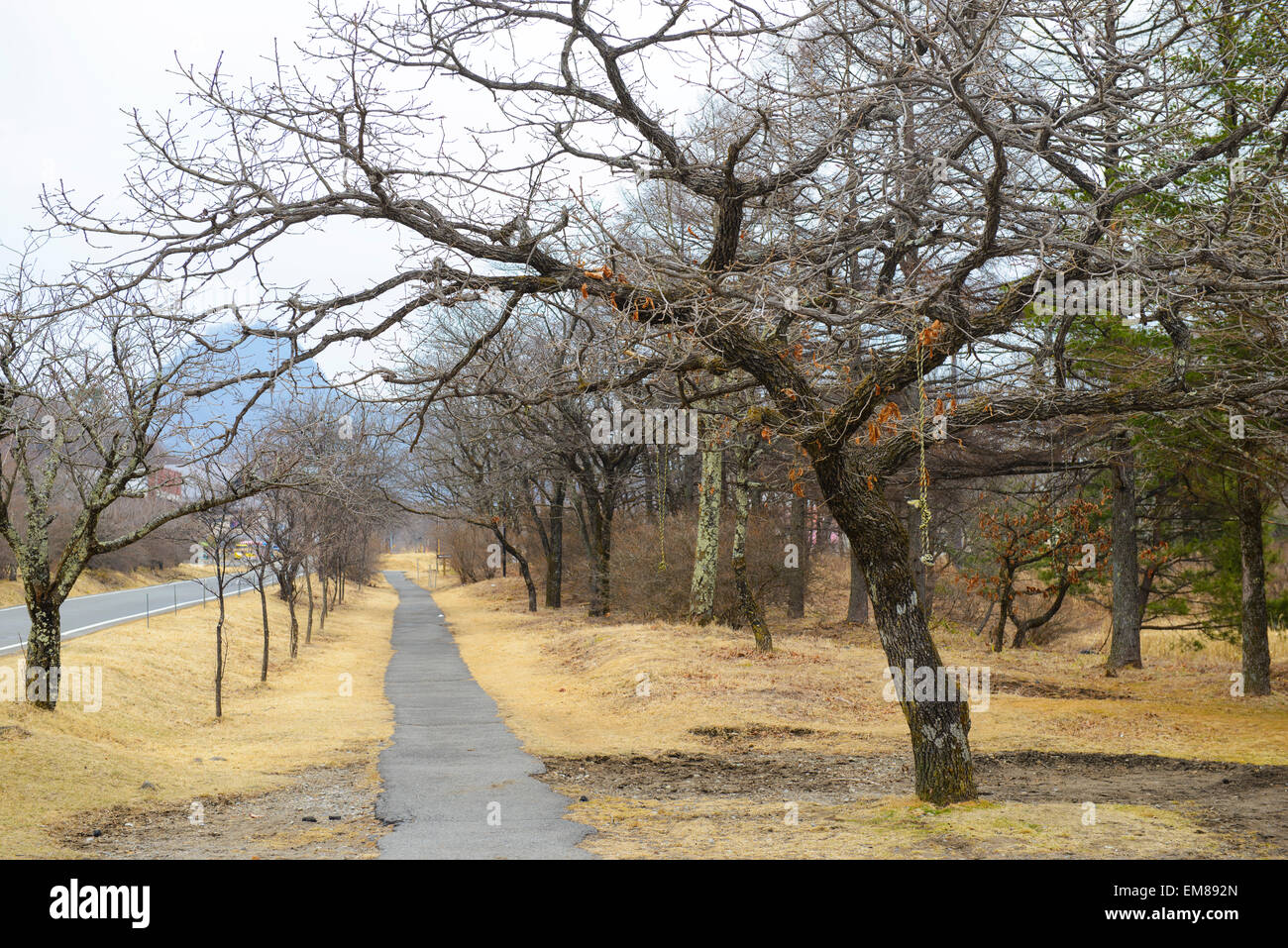 Walking backgrounds hi-res stock photography and images - Alamy
