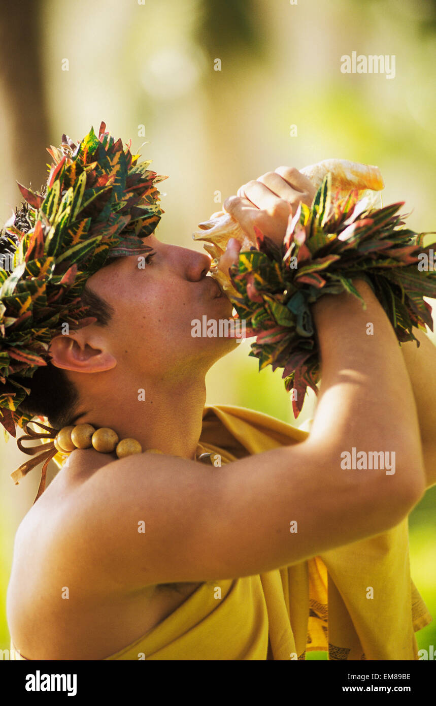 Hawaii, Oahu, Waikiki Beach, Conch Shell Blower Stock Photo - Alamy