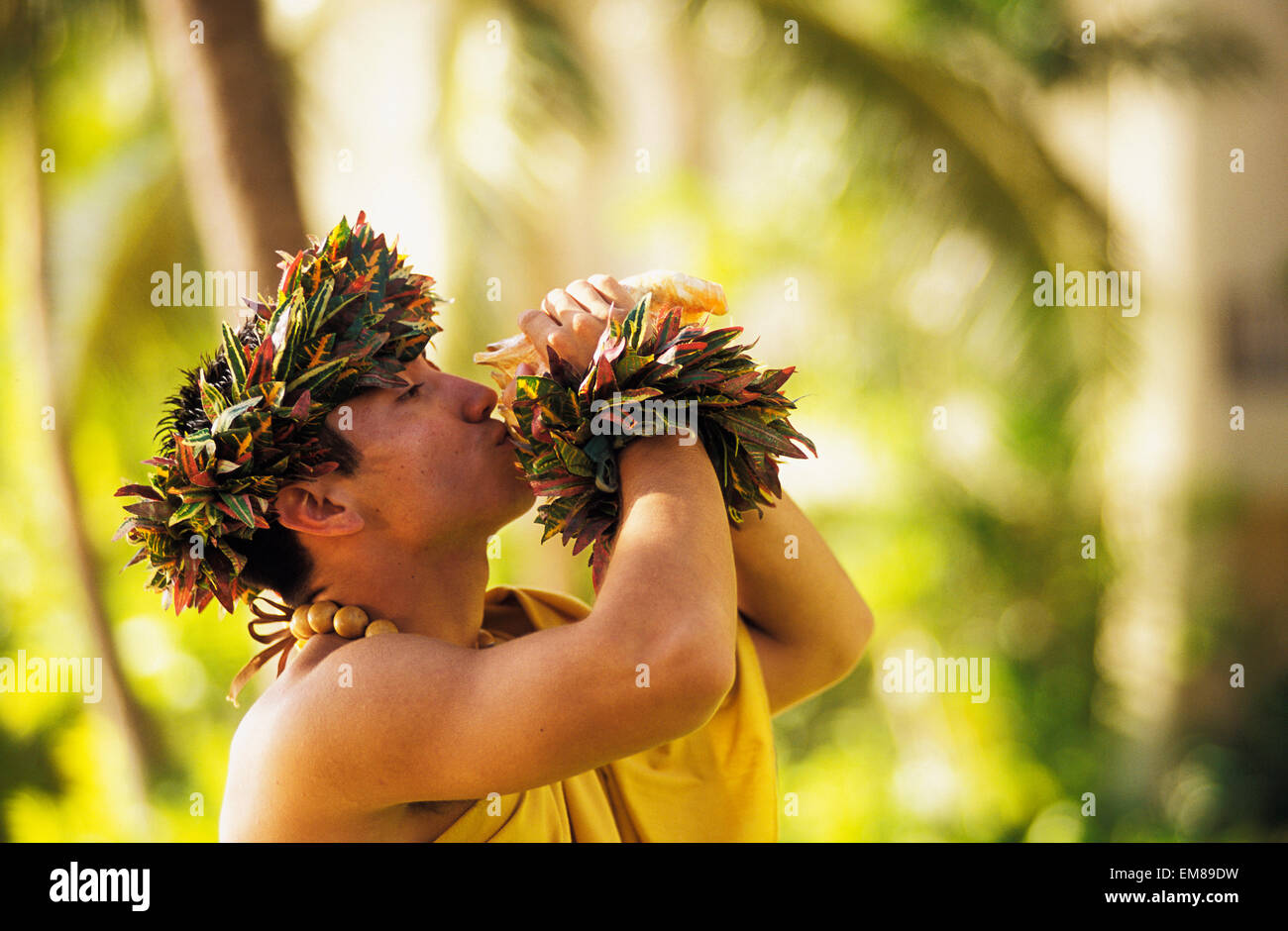 Hawaiian man leaf High Resolution Stock Photography and Images - Alamy