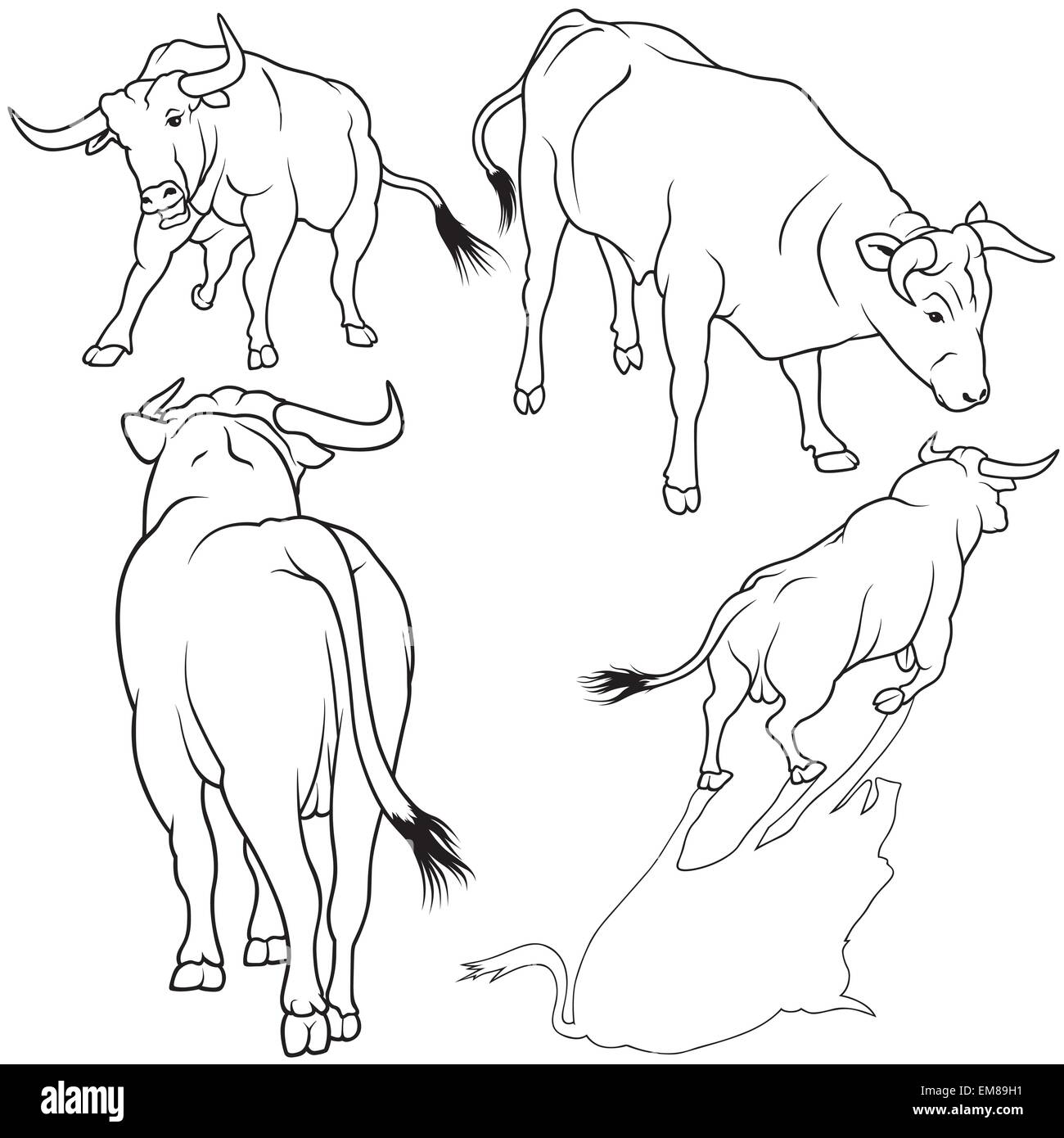 Outline bull Stock Vector Images - Alamy