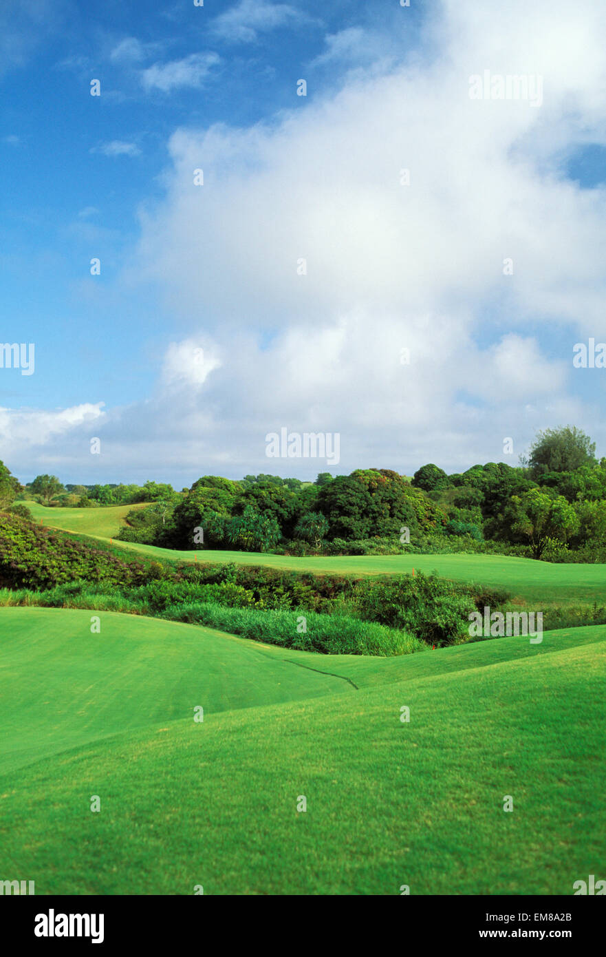 Hawaii prince resort hi-res stock photography and images - Alamy