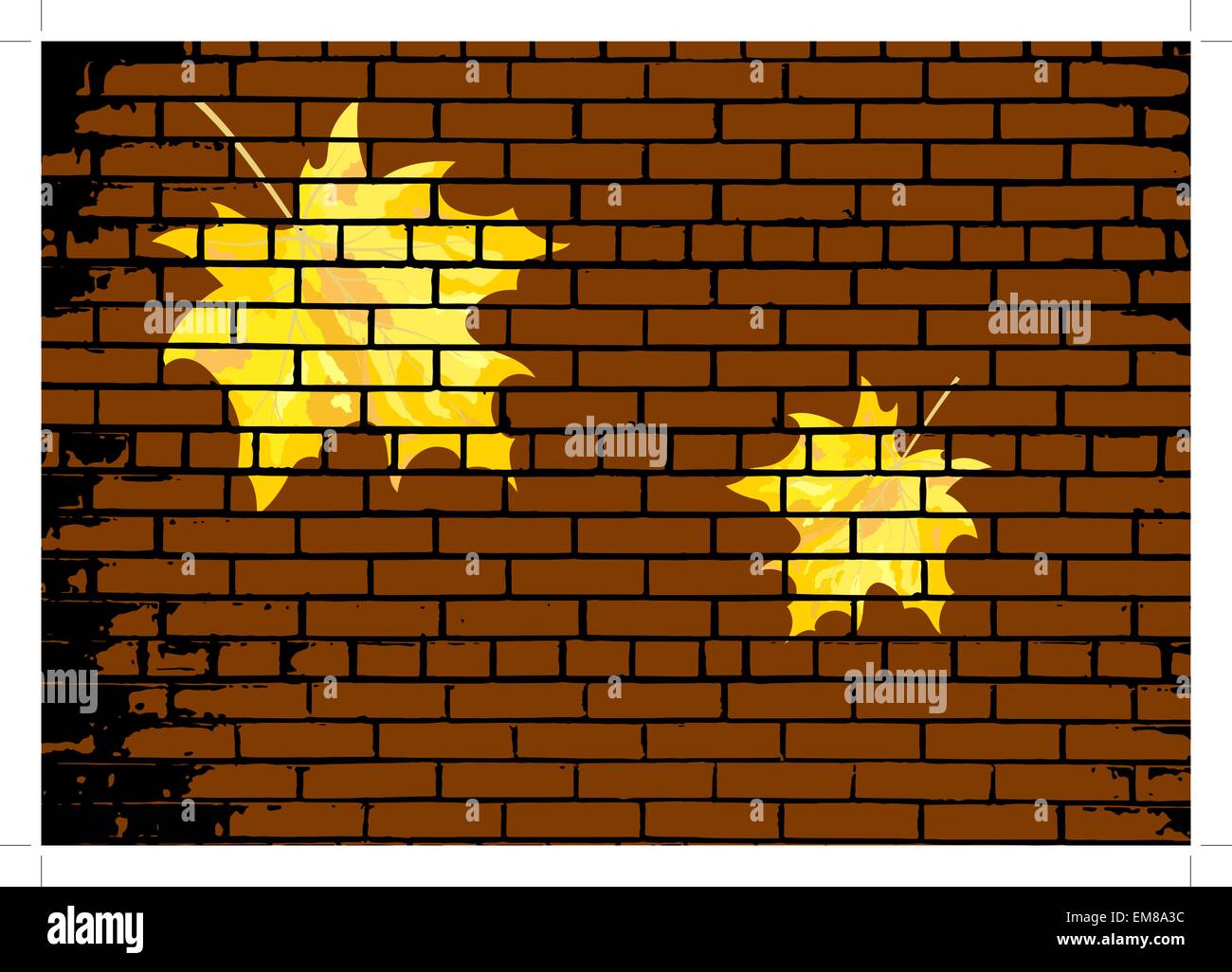 Beautiful autumn leaves on maple Stock Vector Images - Alamy