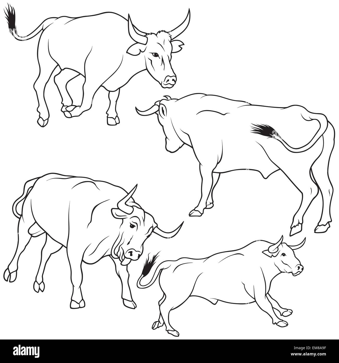 Outline bull Stock Vector Images - Alamy