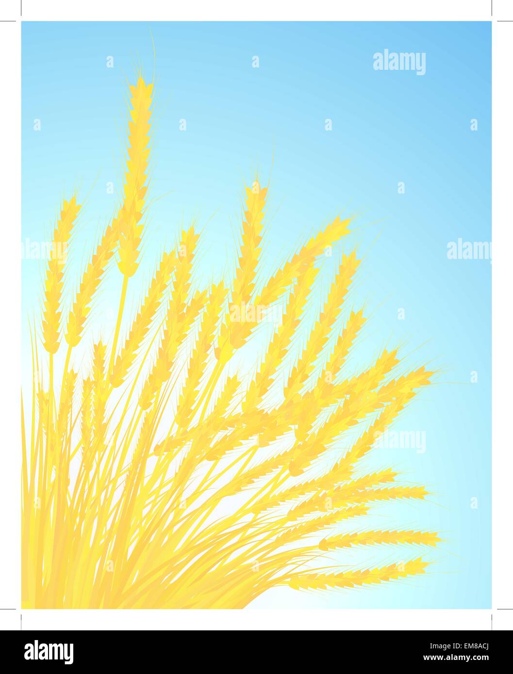 Orange ears Stock Vector Images - Alamy