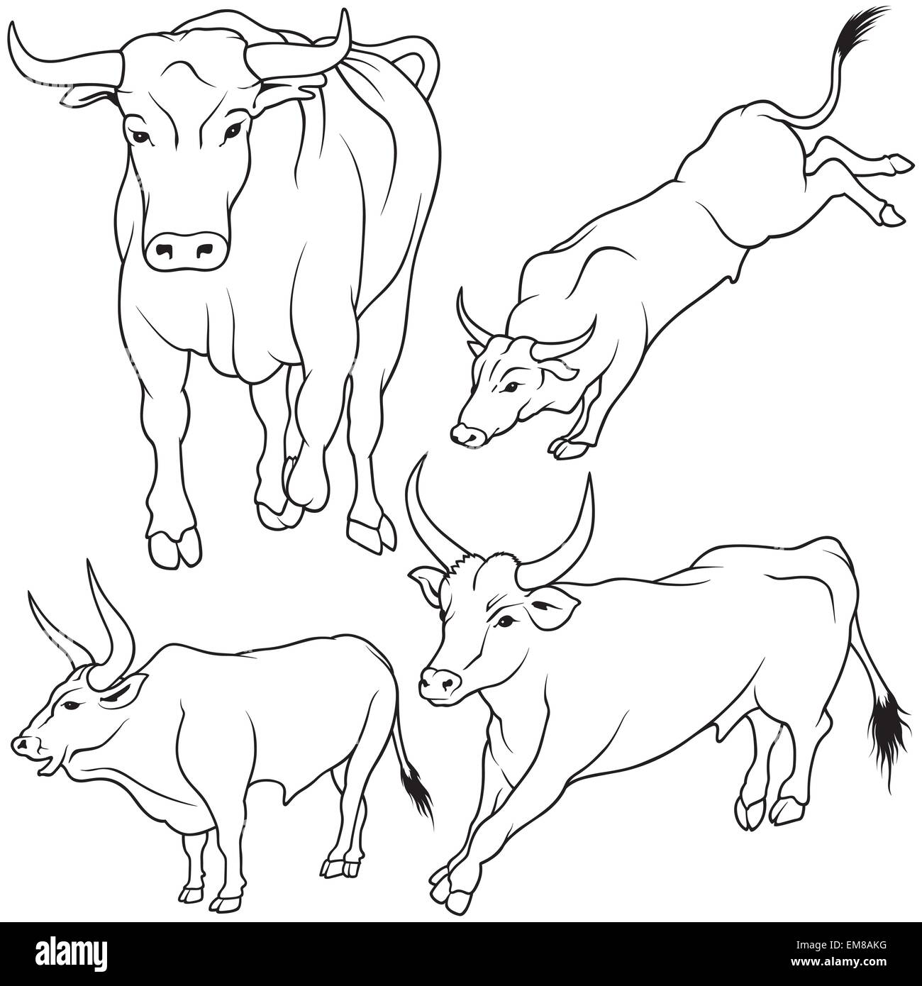 Outline bull Stock Vector Images - Alamy