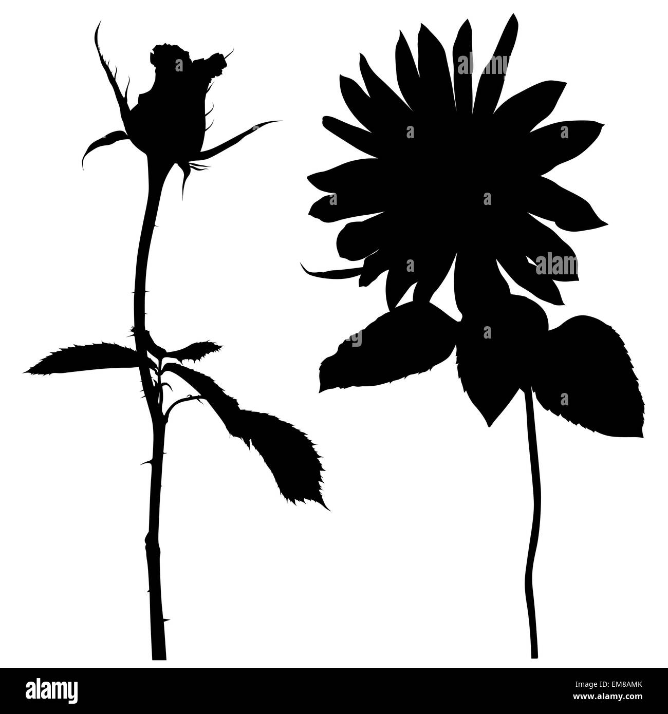 Flower silhouettes hi-res stock photography and images - Alamy