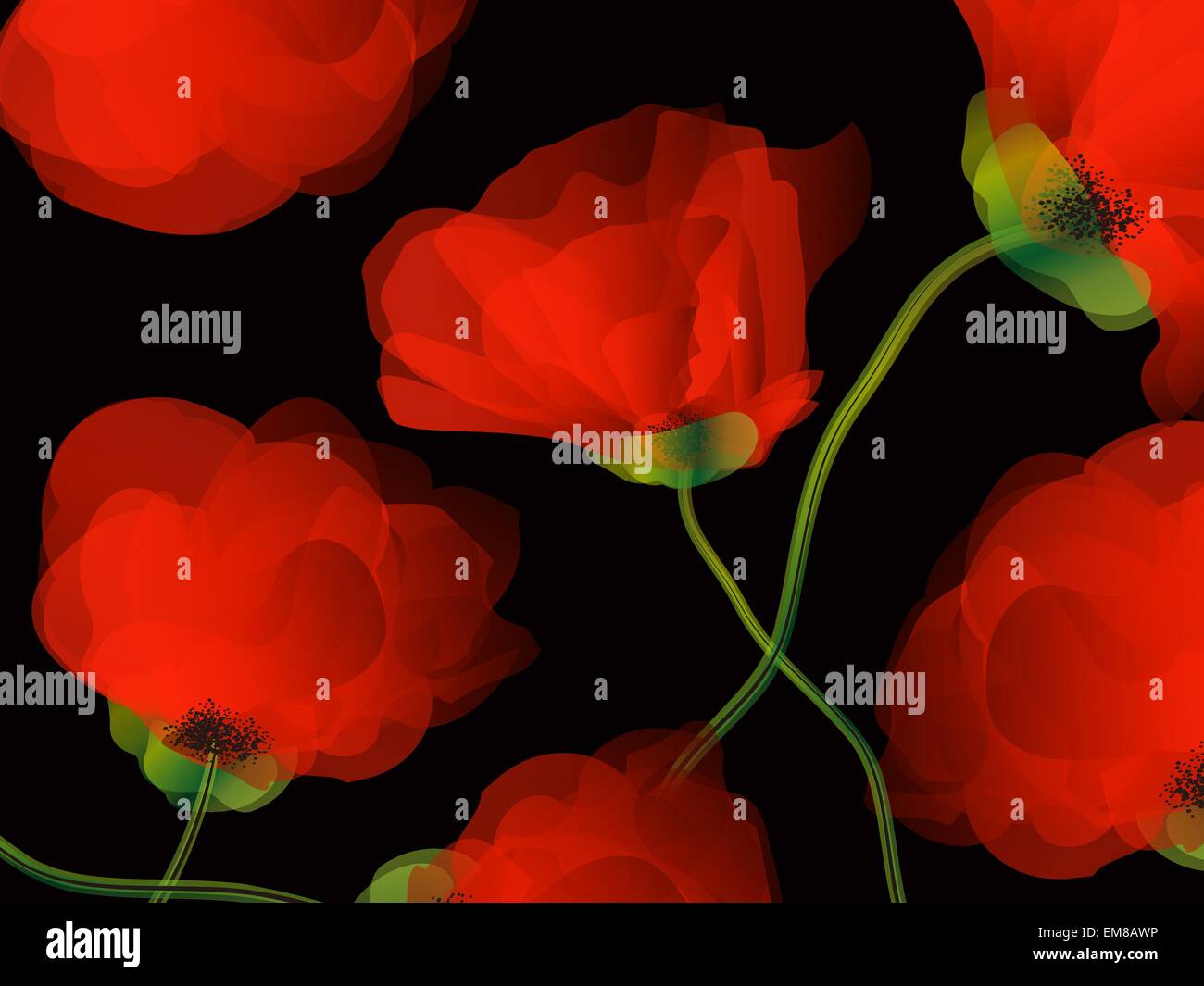 Poppy illustration Stock Vector Images - Alamy