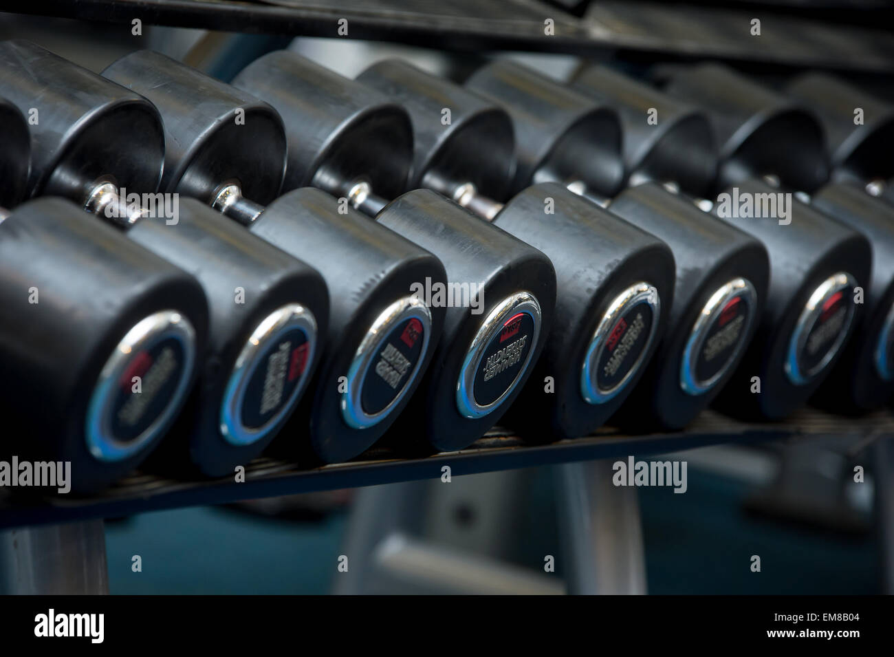 A selection of various weights on display at a gym Stock Photo - Alamy
