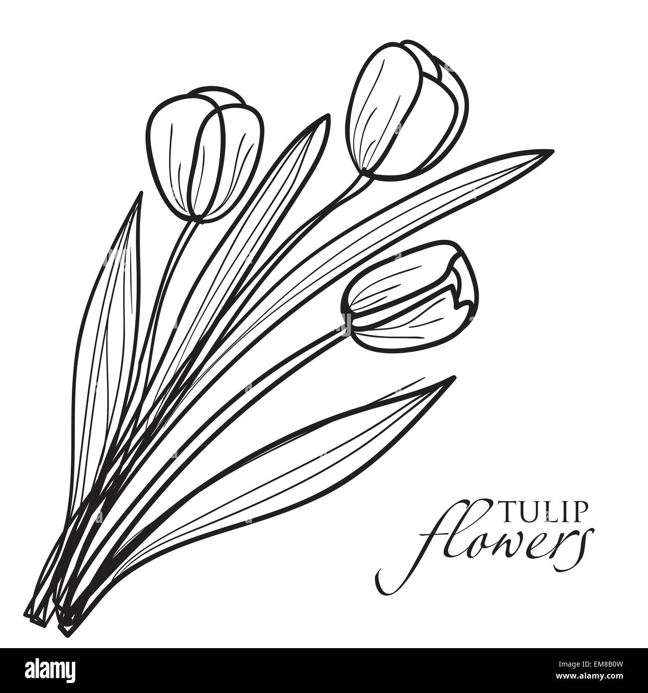 White spot flowers Cut Out Stock Images & Pictures - Alamy