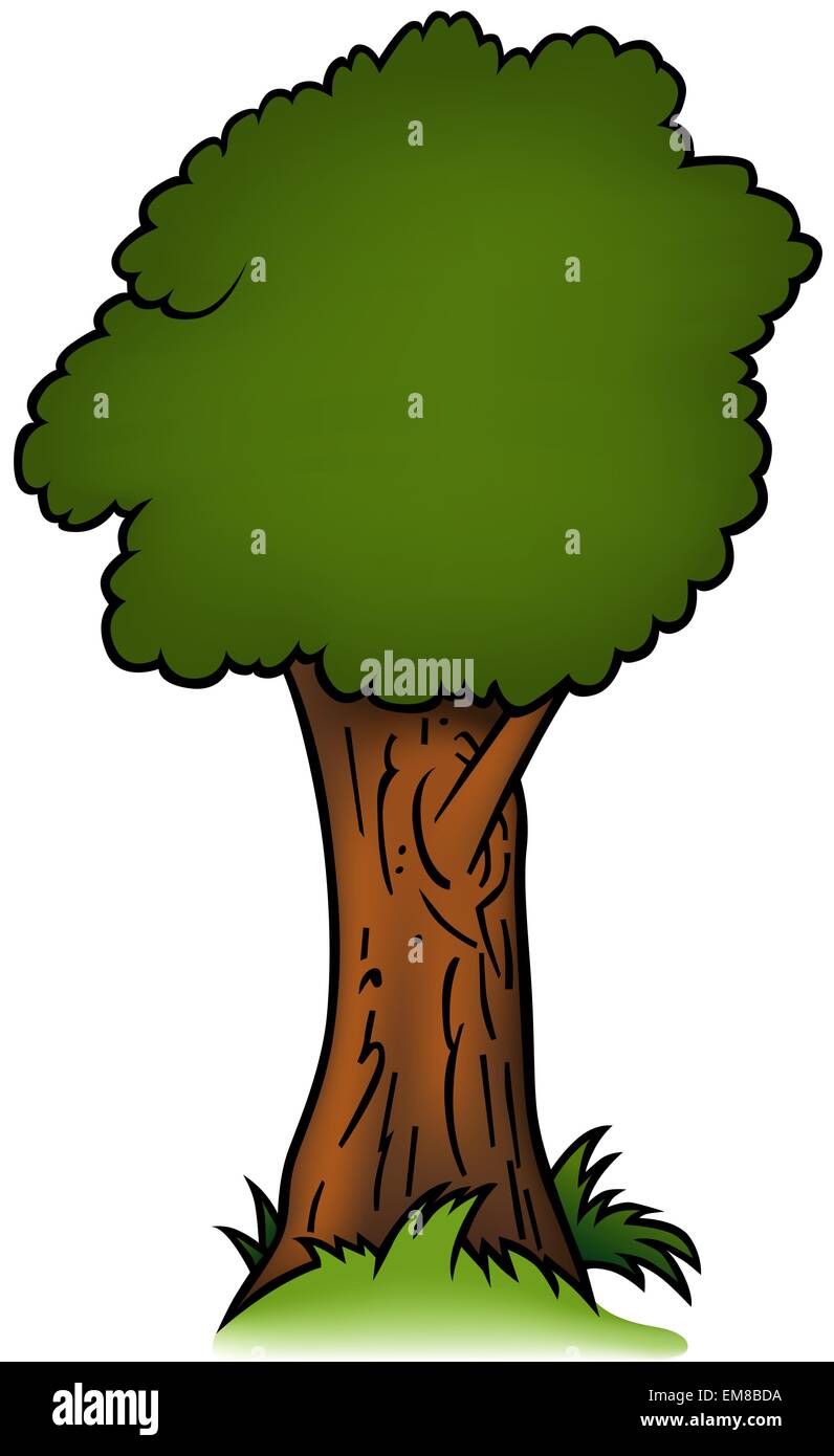 Deciduous tree colored cartoon illustration Stock Vector Images - Alamy