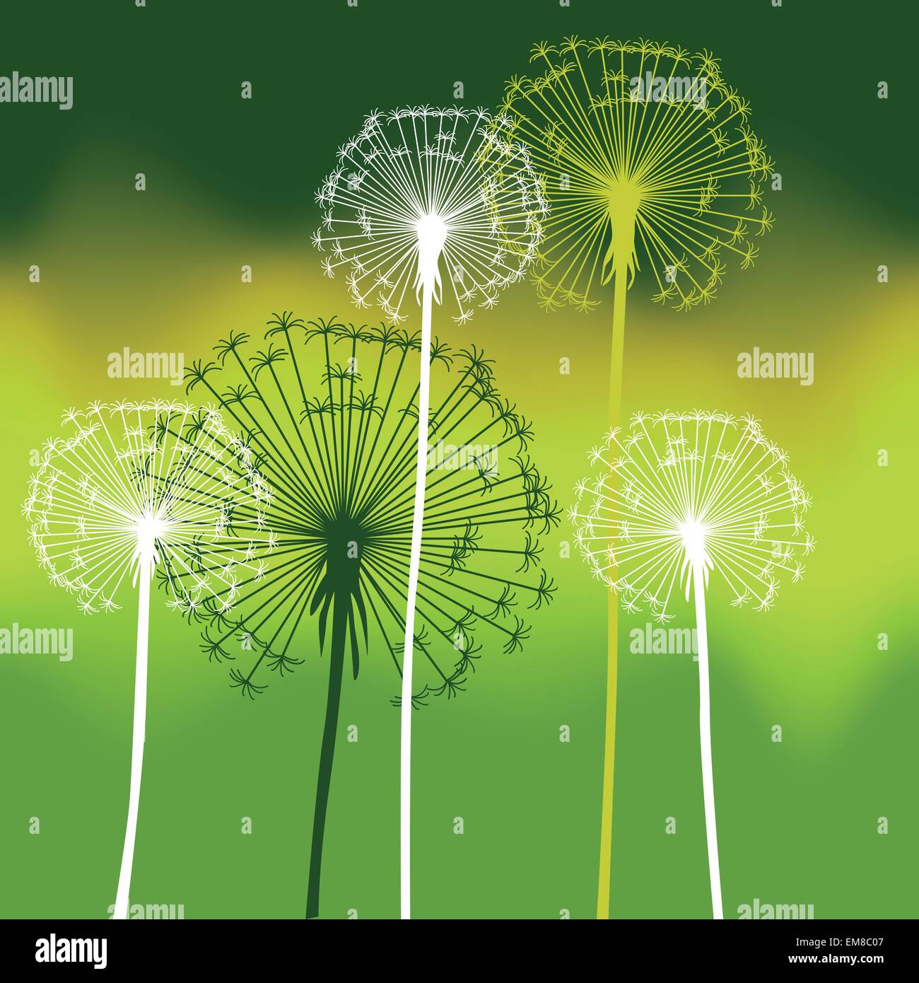 floral background, dandelion Stock Vector Image & Art - Alamy