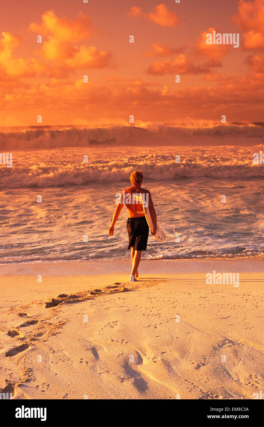 Surfer Walking Into The Water From The Beach Stock Photo - Alamy