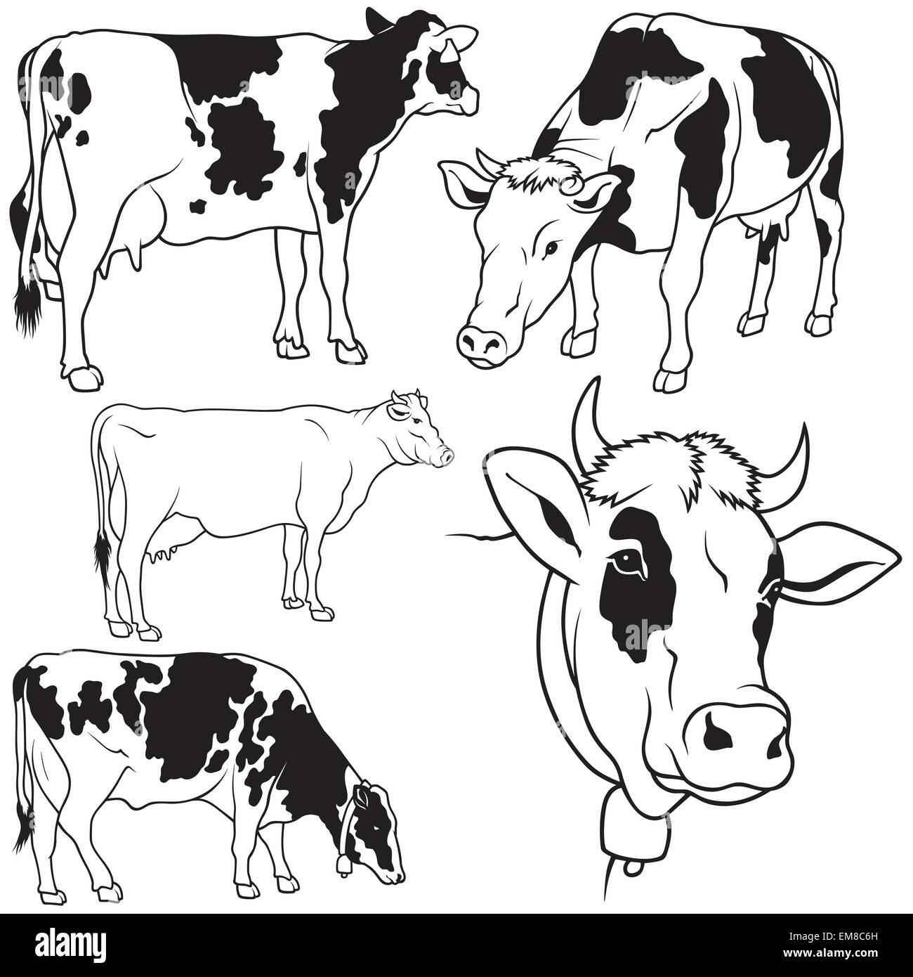 Cow cut out black hi-res stock photography and images - Alamy