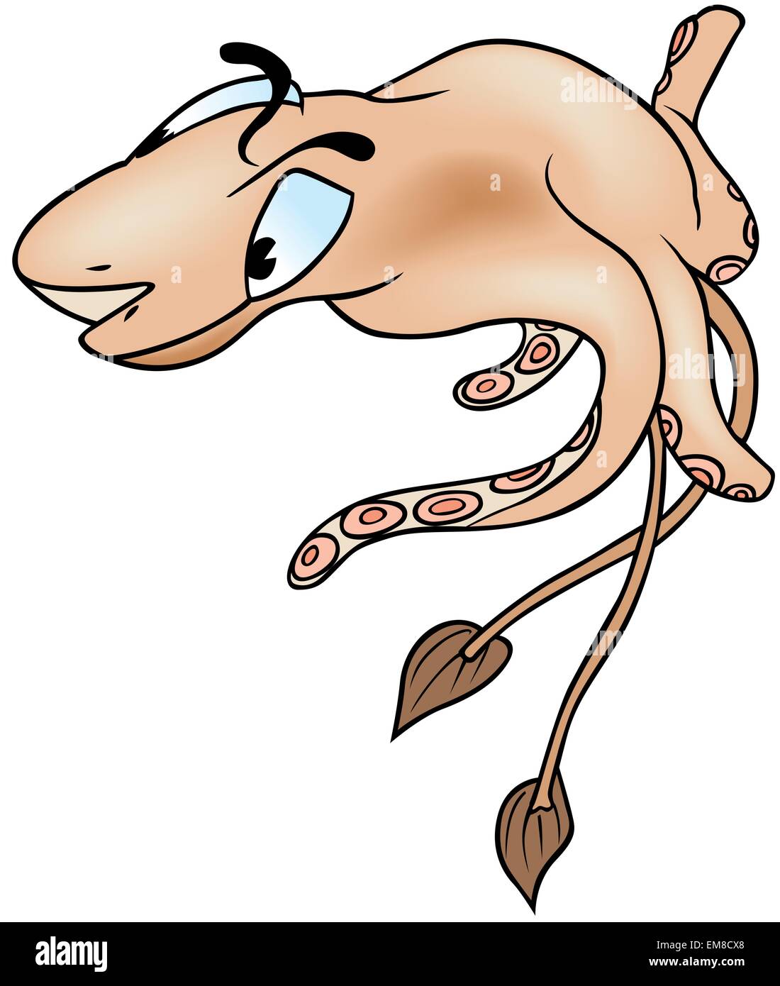 Cartoon cuttlefish hi-res stock photography and images - Alamy