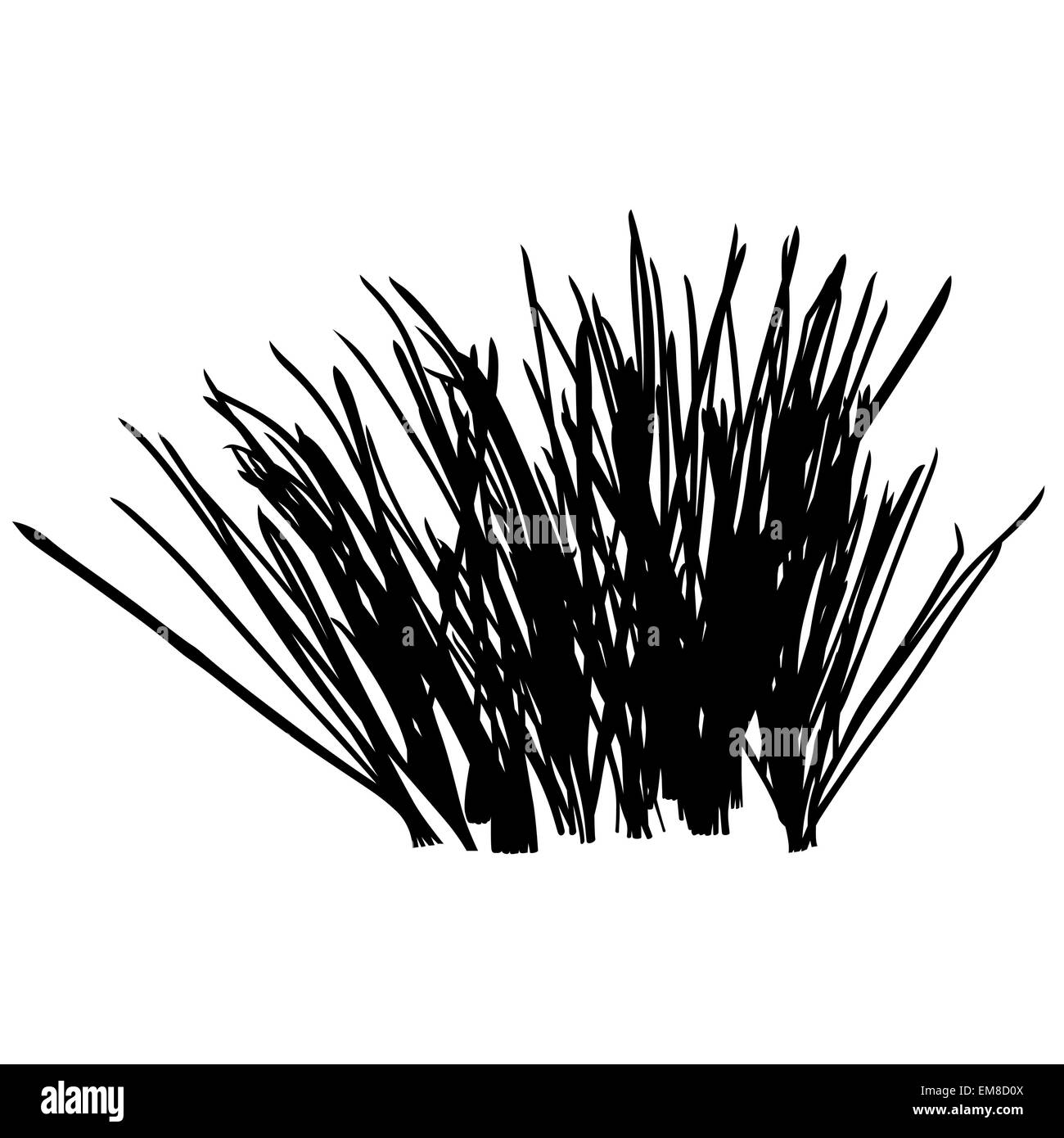 Plant silhouette silhouettes hi-res stock photography and images - Alamy