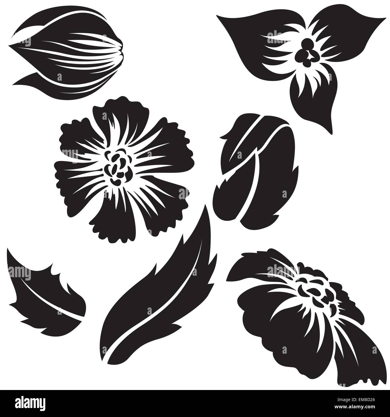 Flower elements hi-res stock photography and images - Alamy