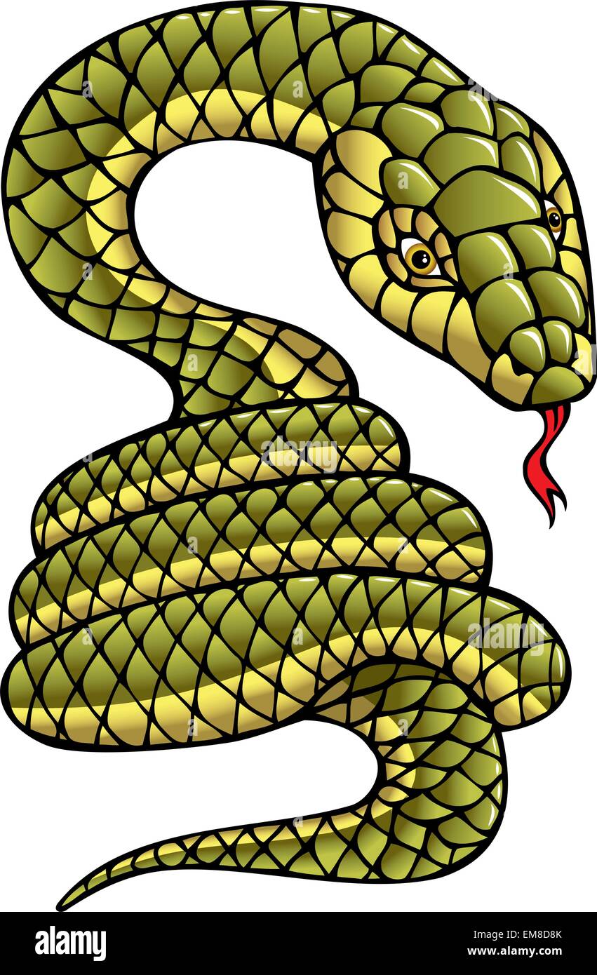 Snake Skin Stock Vector Images - Alamy