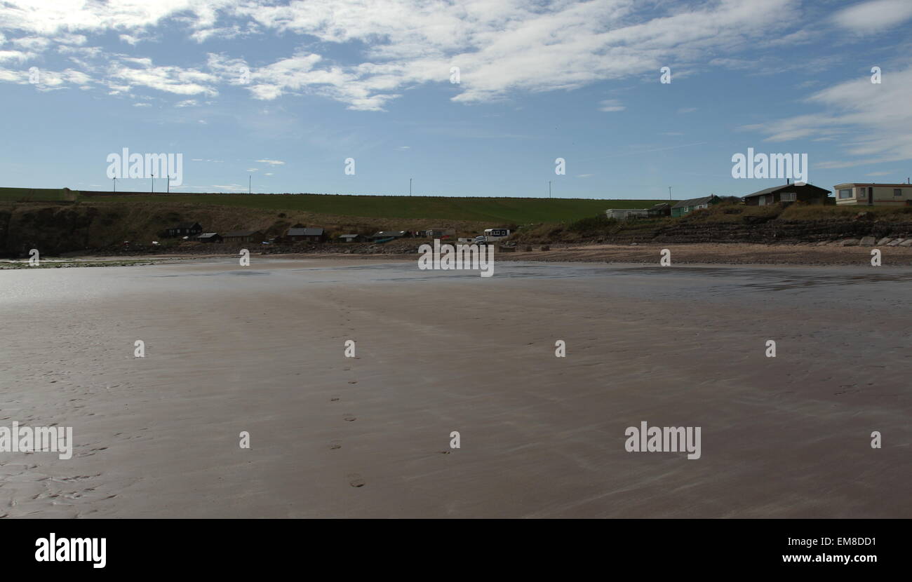 Corbie Knowe at Lunan Bay Angus Scotland April 2015 Stock Photo - Alamy