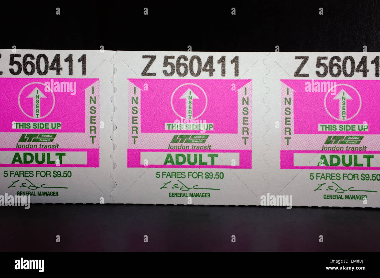 Canadian bus hi-res stock photography and images - Alamy