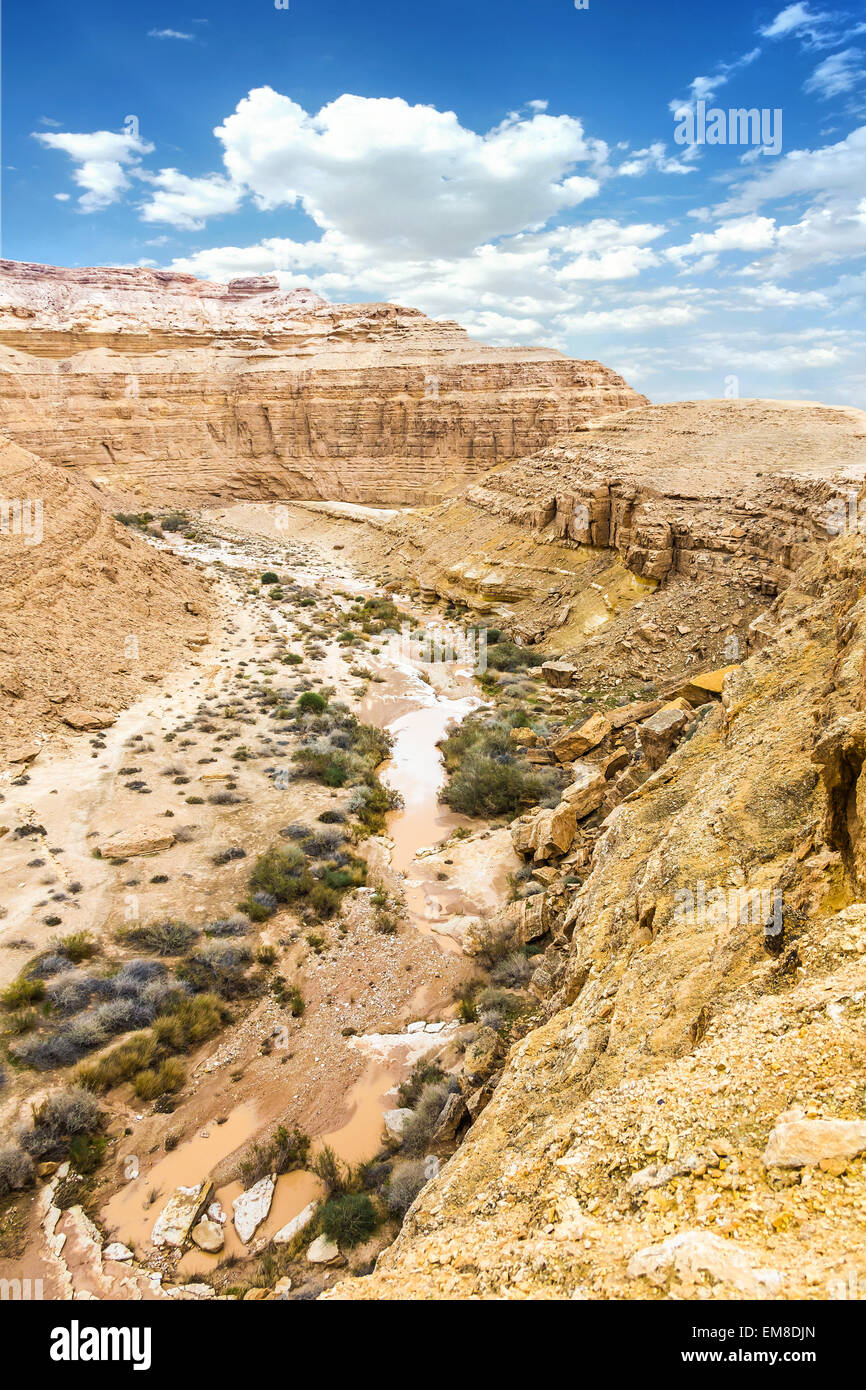 Gorge in desert hi-res stock photography and images - Alamy