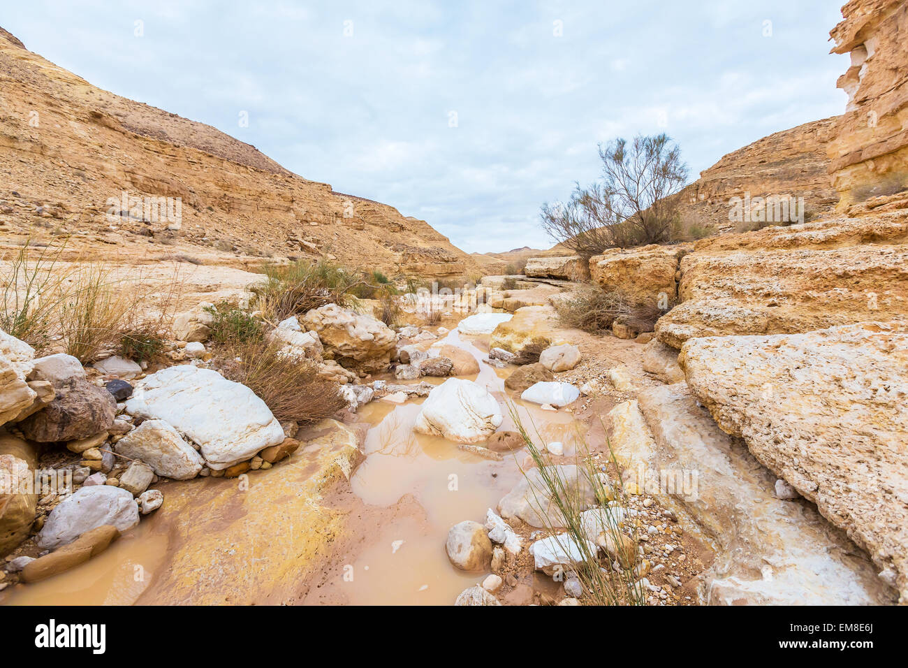 scenery in the desert, stream flowing through the gorge Stock Photo - Alamy