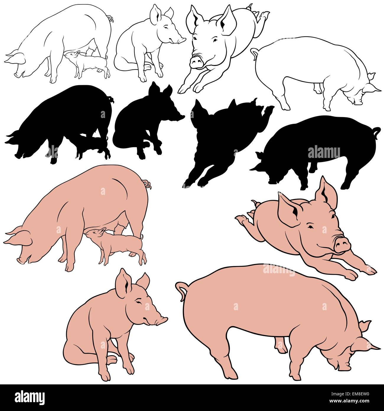 Pig illustrations hi-res stock photography and images - Alamy