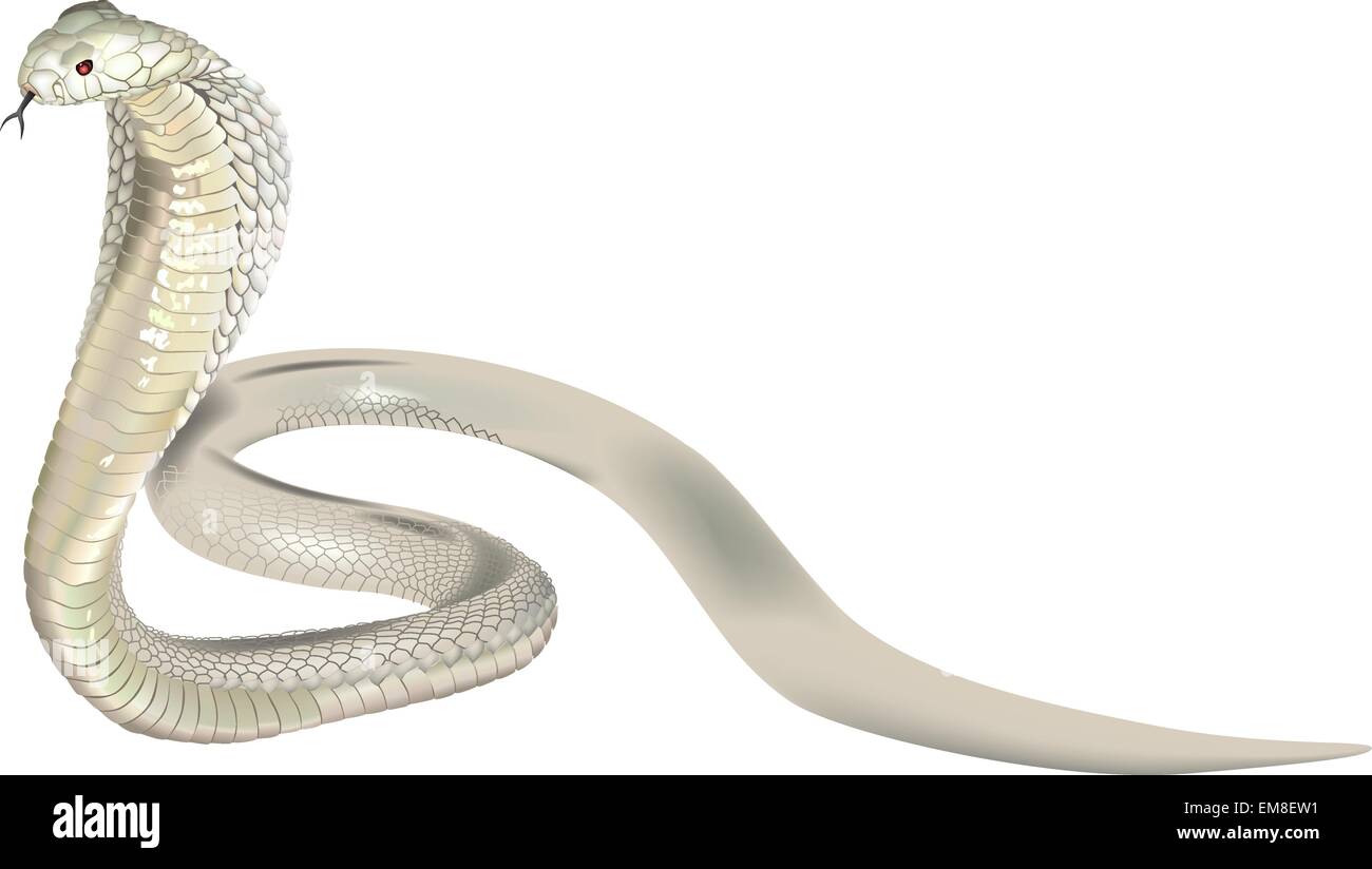 Indian Cobra Art