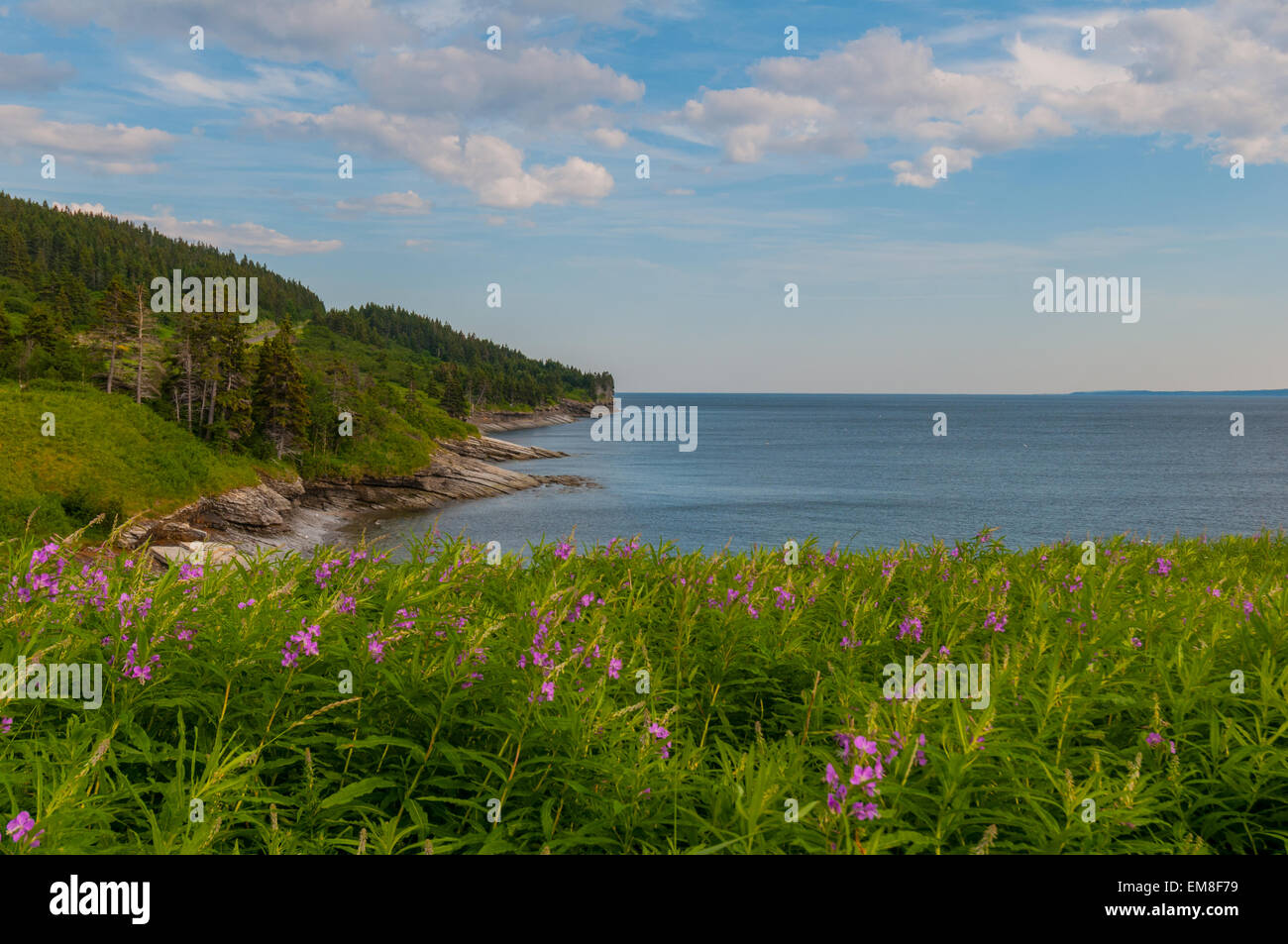 Forillon National Park Gaspésie Québec Stock Photo - Alamy