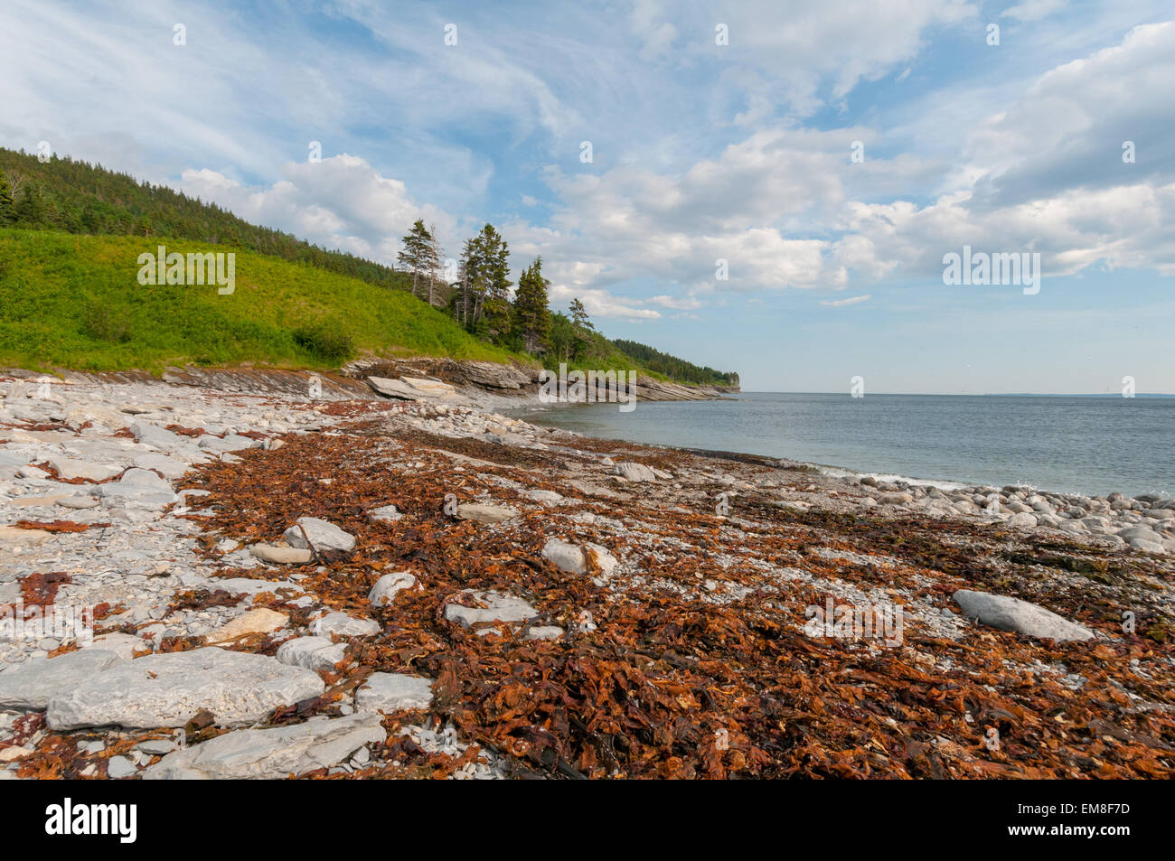 Beach Forillon National Park Gaspésie Canada Stock Photo - Alamy