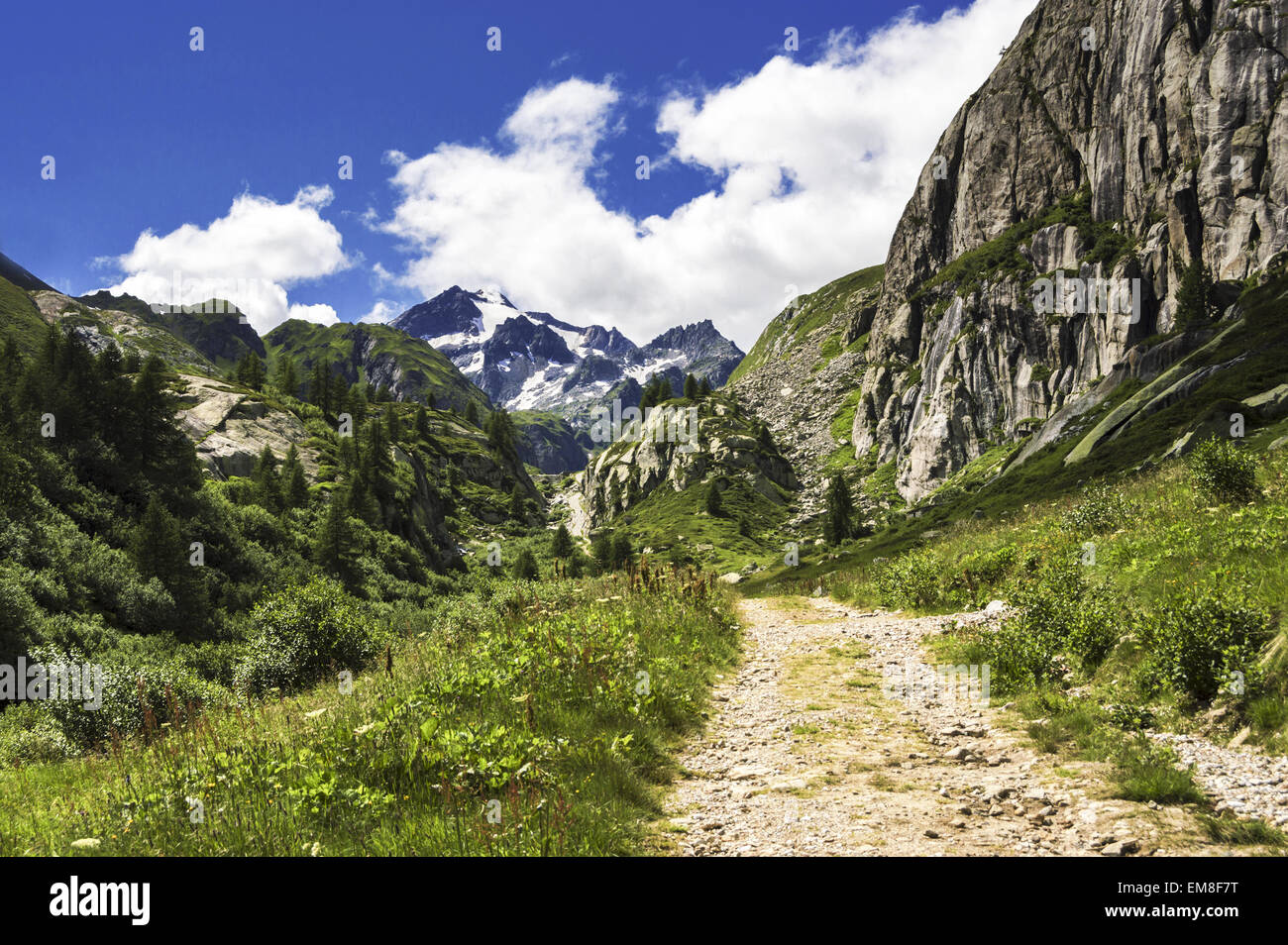 landscape of the italian Alps in summer season from mountain path with ...