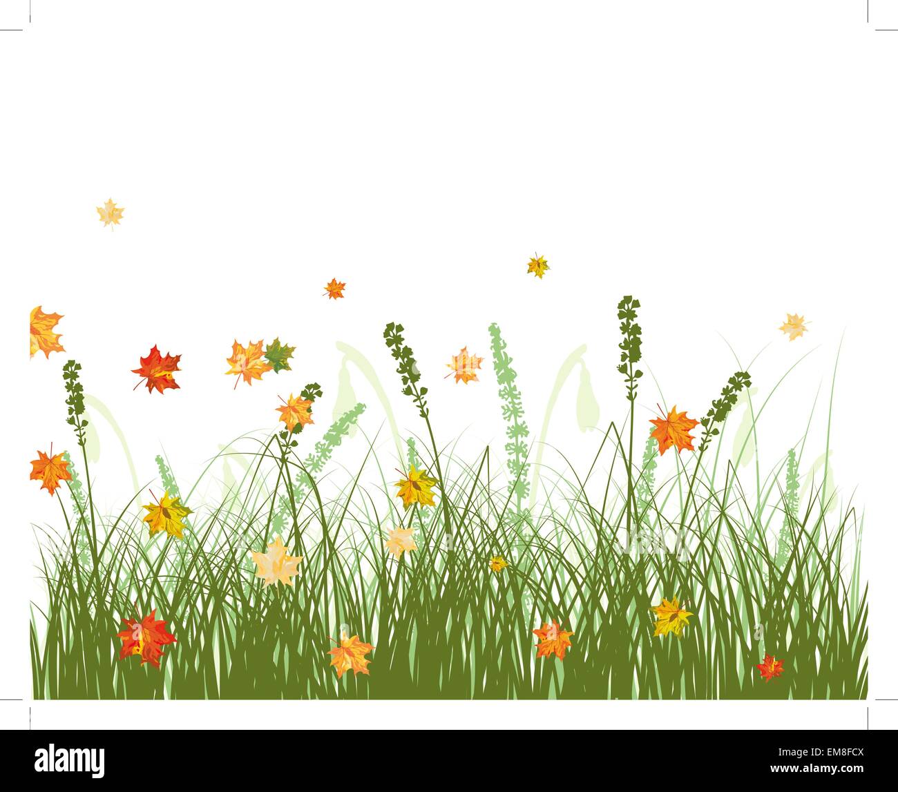 Fresh green field autumn Stock Vector Images - Alamy