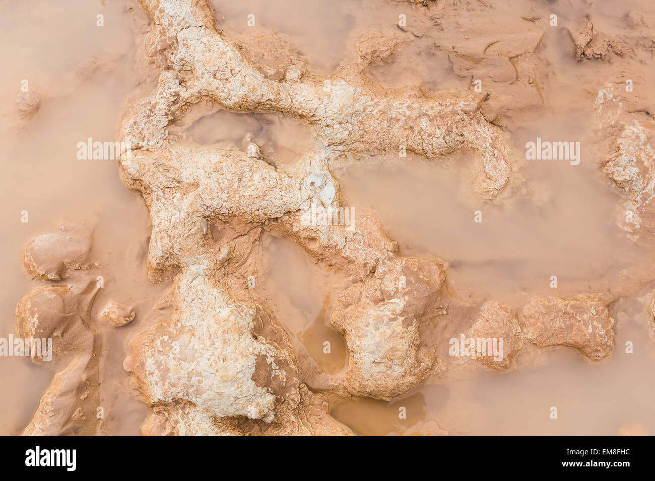 background the texture of wet stone and water, closeup Stock Photo - Alamy