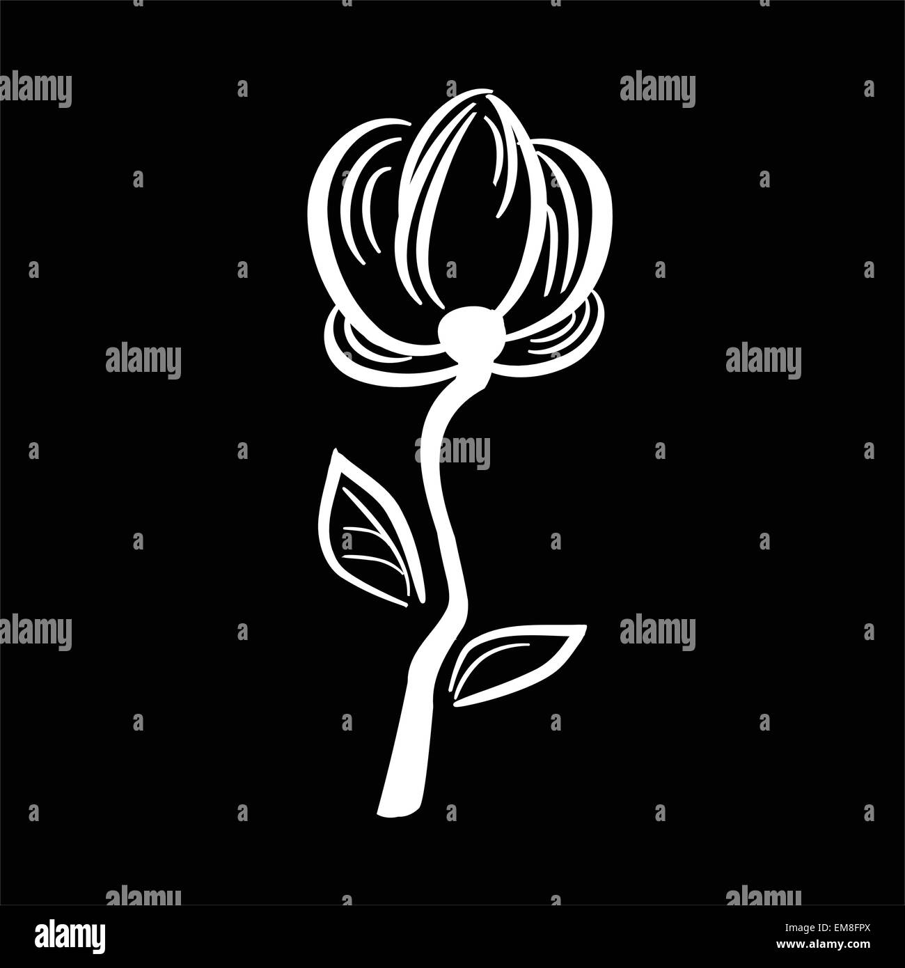Flowers engraving roses Black and White Stock Photos & Images - Alamy