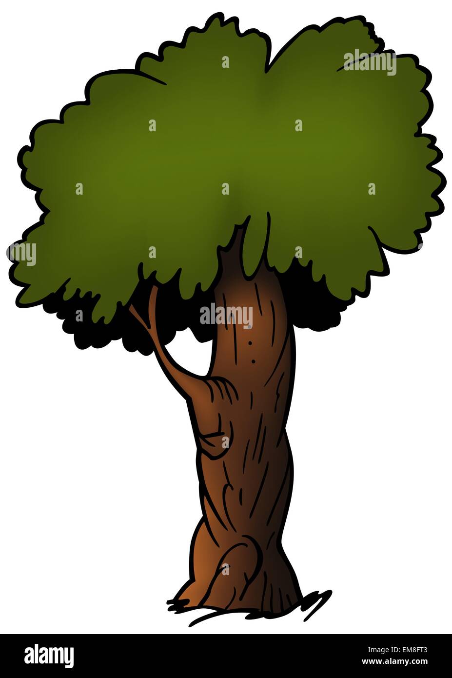 Deciduous tree colored cartoon illustration Stock Vector Images - Alamy