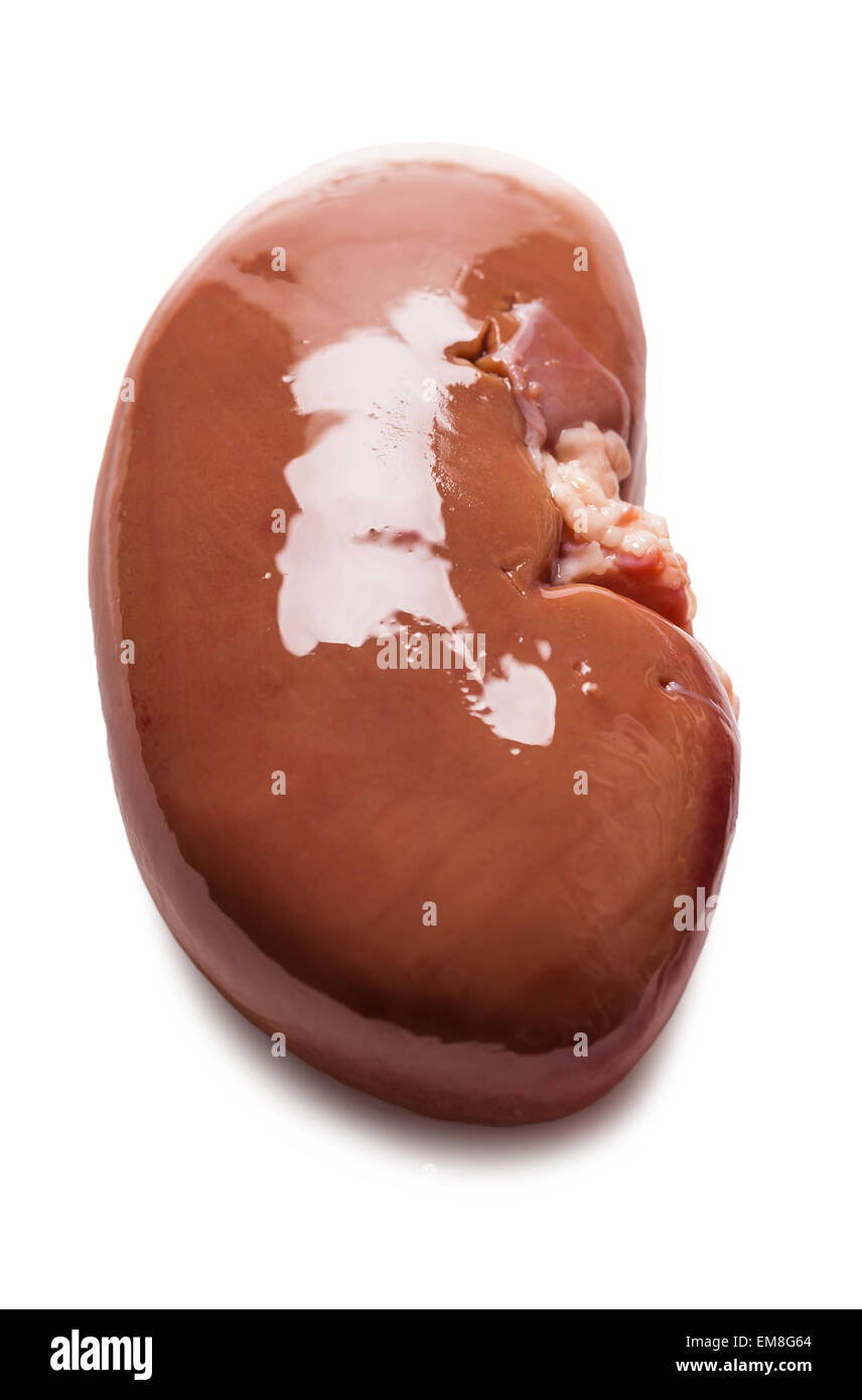 kidney raw meat isolated on a white background Stock Photo - Alamy