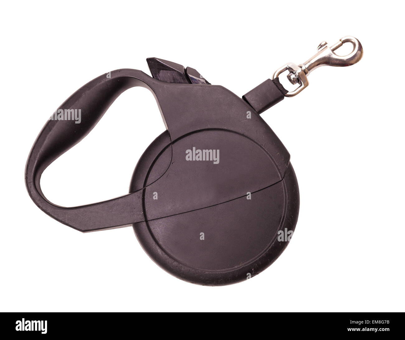 leash dog closeup isolated on a white background Stock Photo - Alamy