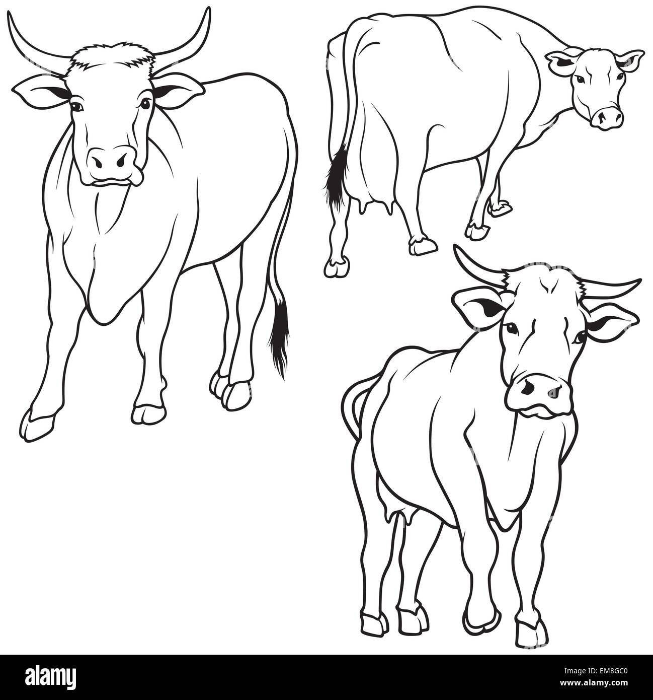 Cow Clip Art Black And White