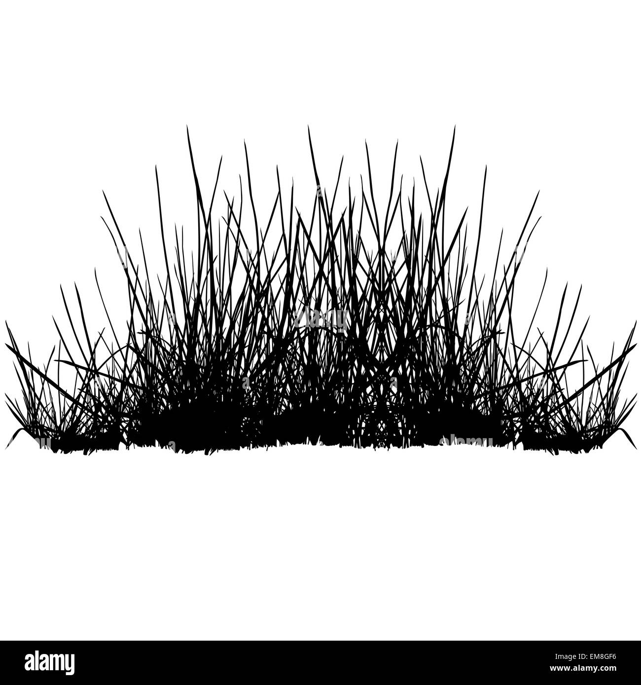 Bunch grass Stock Vector Images - Alamy