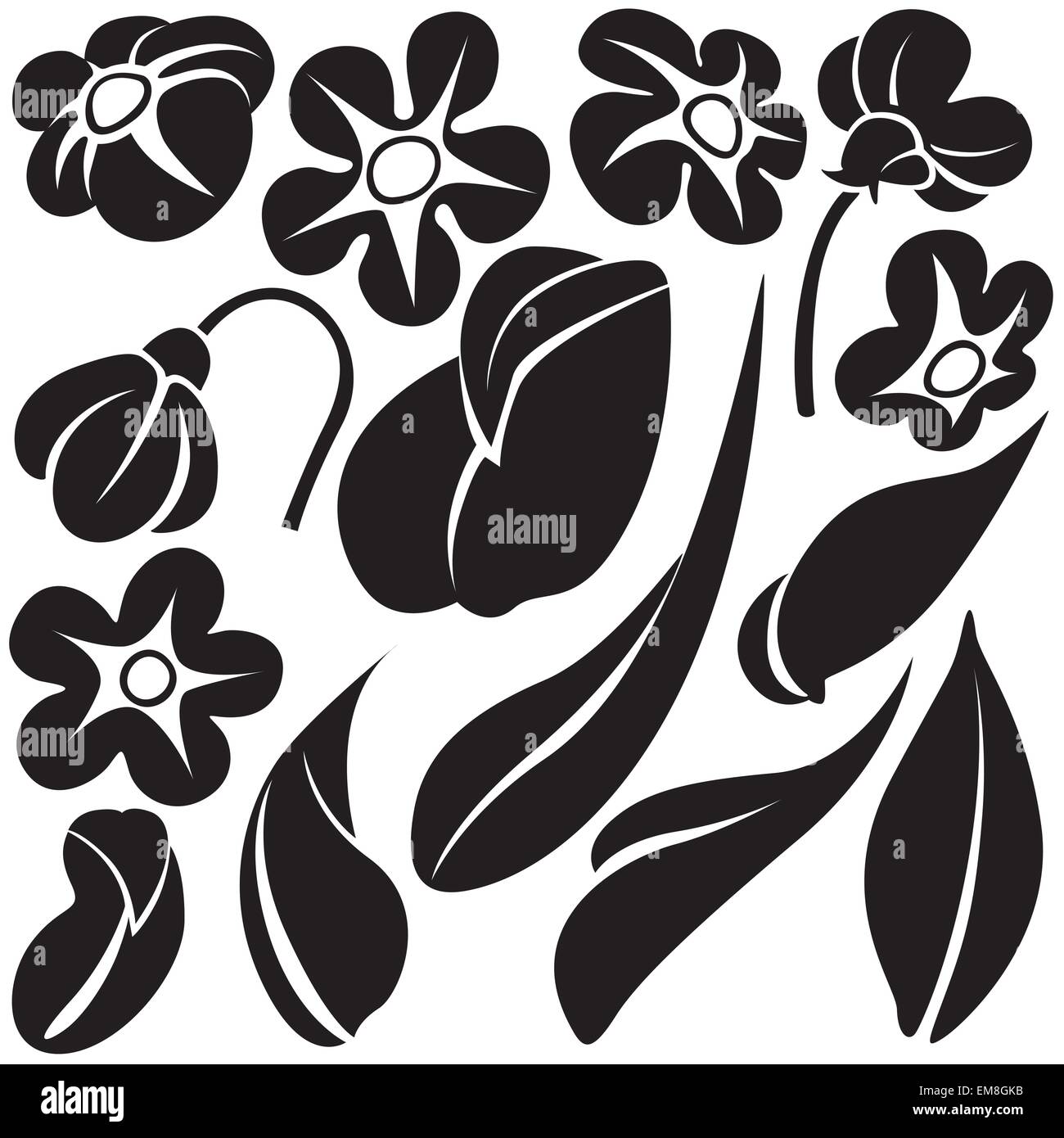 Flower elements hi-res stock photography and images - Alamy